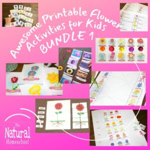 Printable Flower Activities for Kids BUNDLE 1 - The Natural Homeschool