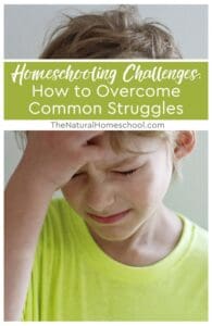 Homeschooling Challenges: How to Overcome Common Struggles - The ...