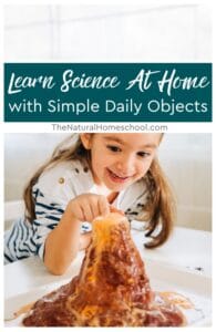 Learn Science At Home With Simple Daily Objects - The Natural Homeschool