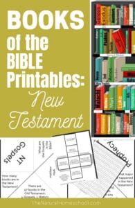 Books of the Bible Printables: New Testament - The Natural Homeschool